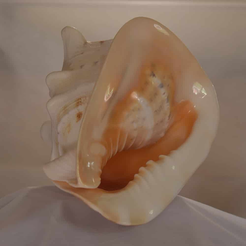 Helmet shell - Island Craft Ltd Since 1942